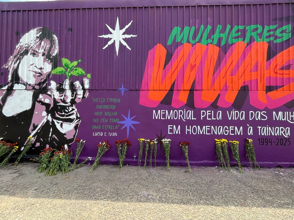 Muro onde mulher foi arrastada na Marginal Tietê vira símbolo da luta ...