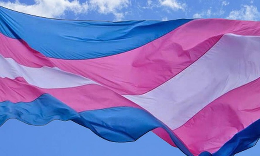 Dia da Visibilidade Trans é comemorado nesta quinta-feira (29); entenda ...
