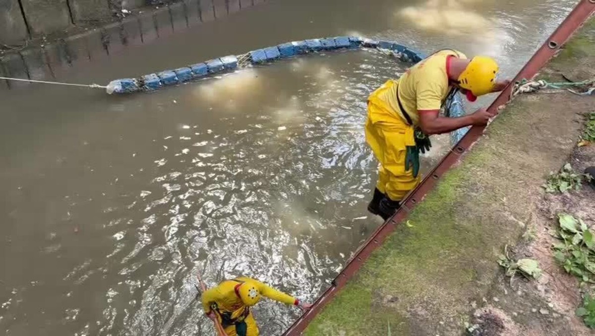 VÍDEOS: corpo de idoso arrastado por enxurrada em São Paulo é encontrado