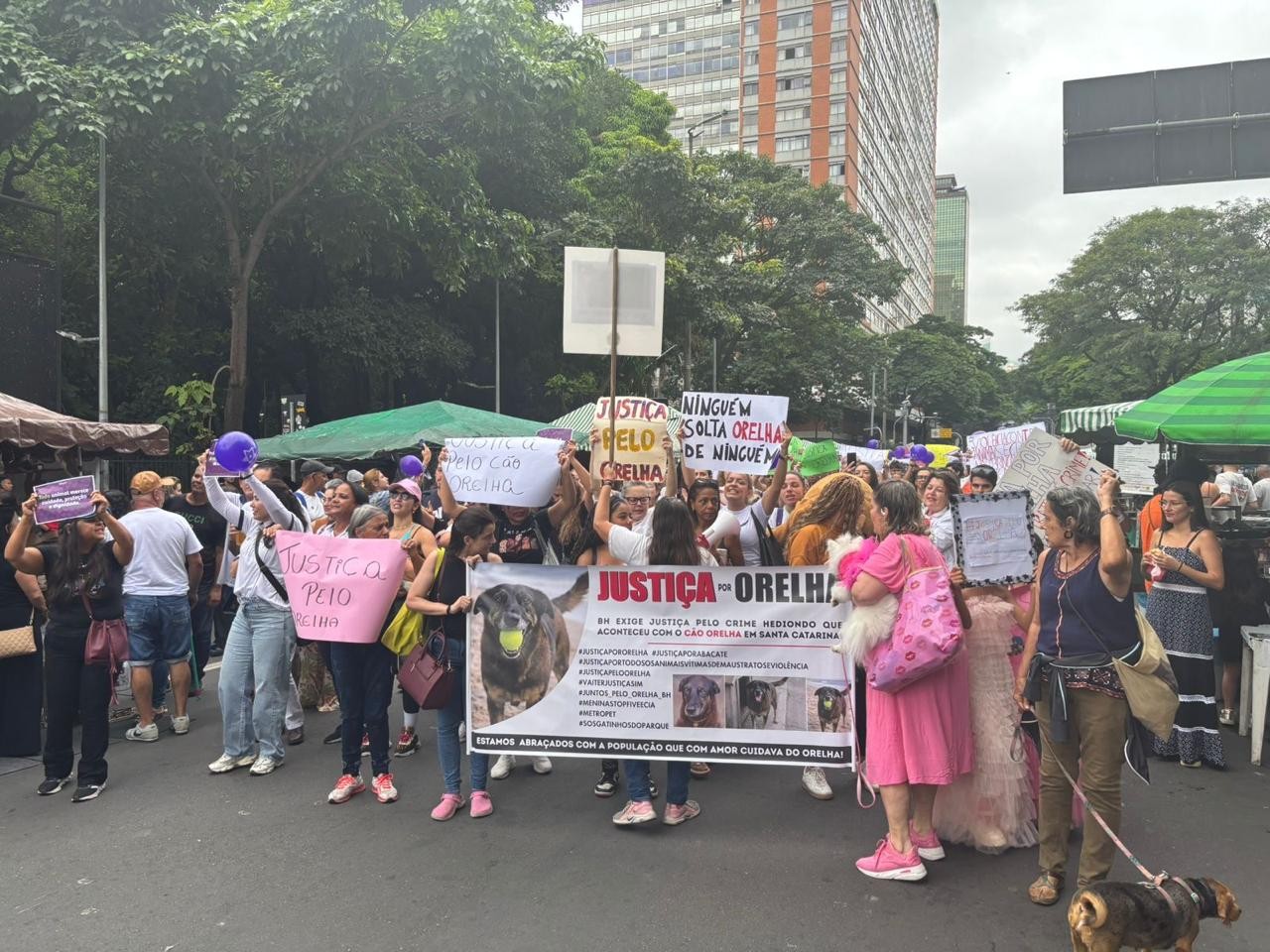 Protestos por morte do cão Orelha mobilizam capitais neste fim de semana