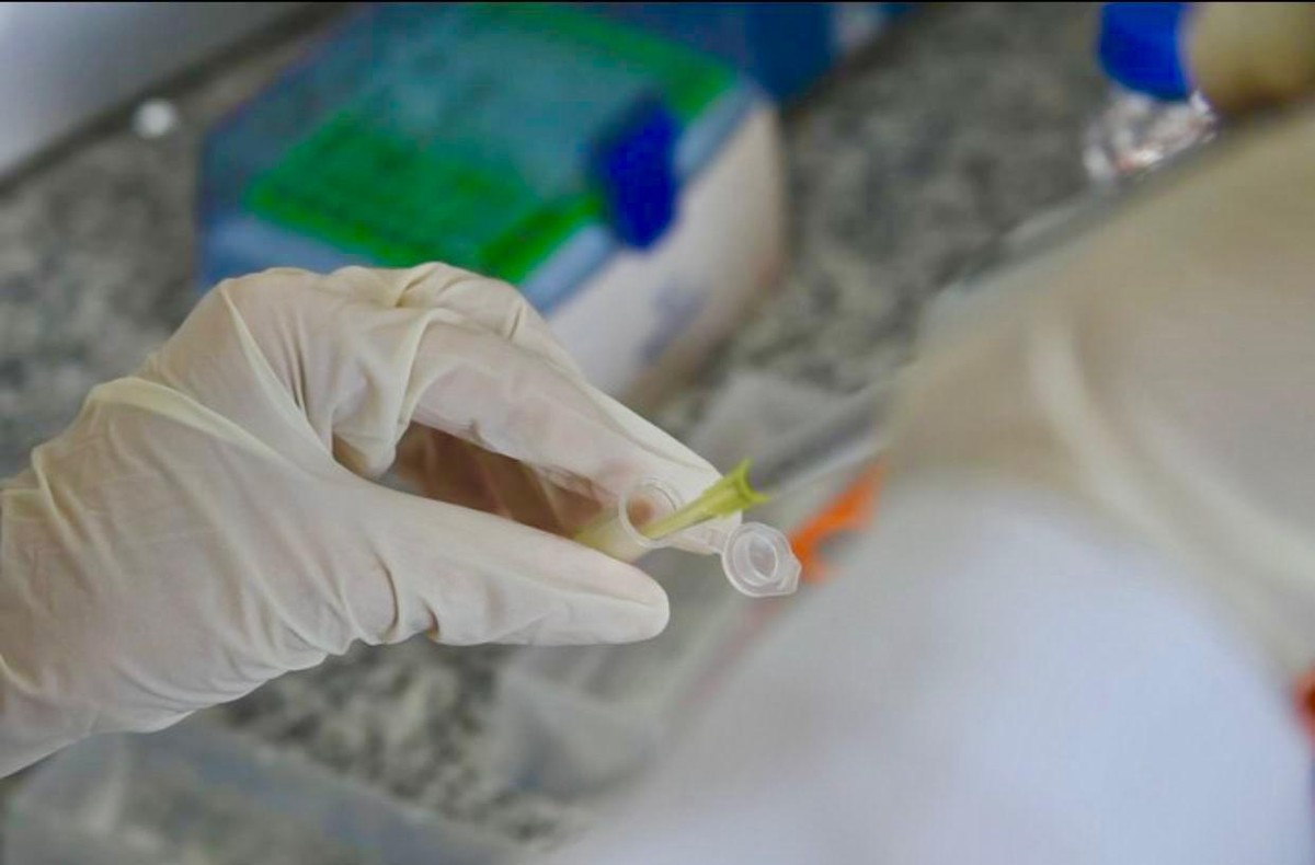 Vacina contra dependência de cocaína e crack avança na UFMG; nova etapa ...