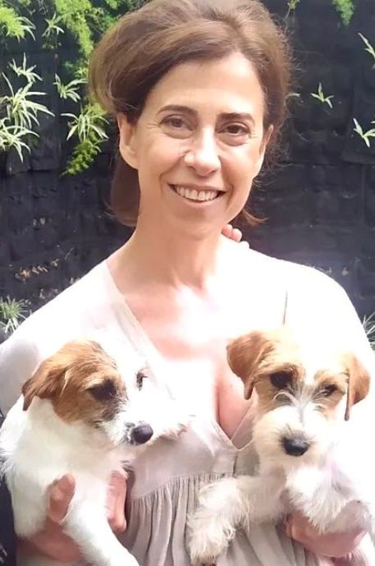 Conheça os cachorrinhos que fazem cão Pimpão em 'Ainda Estou Aqui'