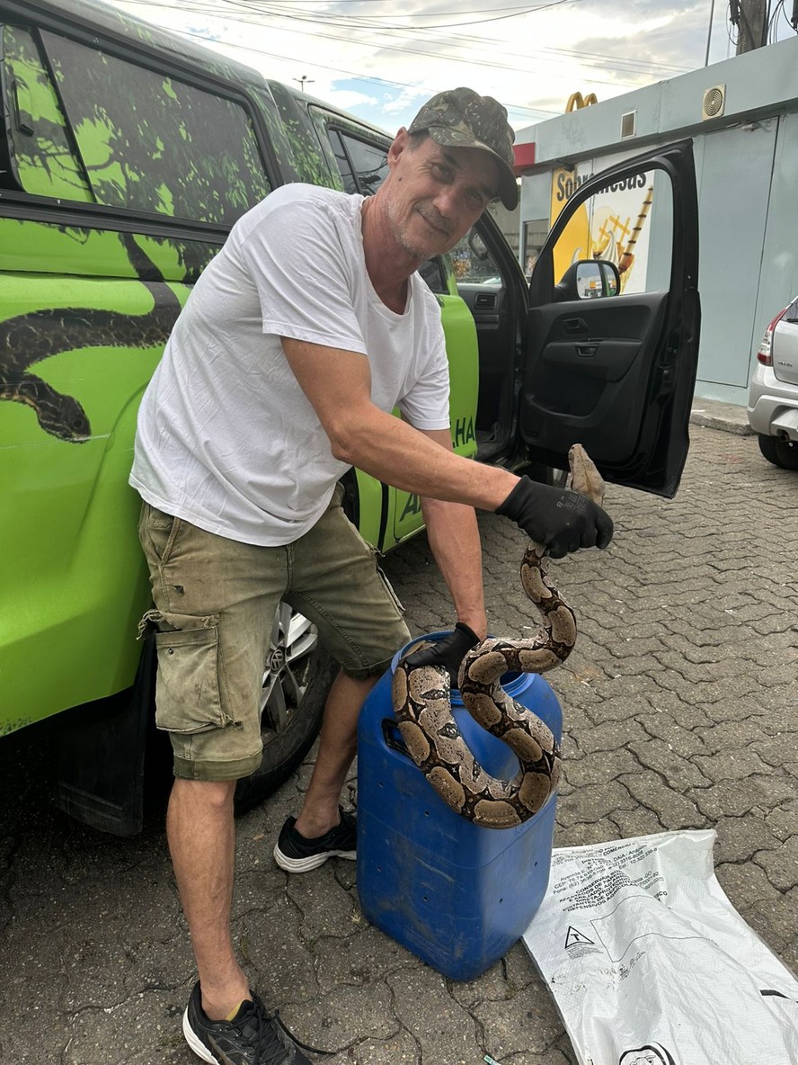Sem estrutura, Patrulha Ambiental do Rio não atende chamados e agrava ...
