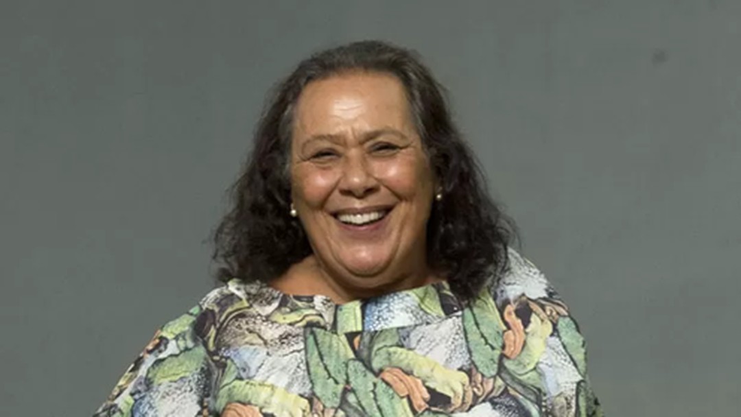 Caso Ana Beatriz: polícia conclui que mãe agiu sozinha; mulher admitiu ...